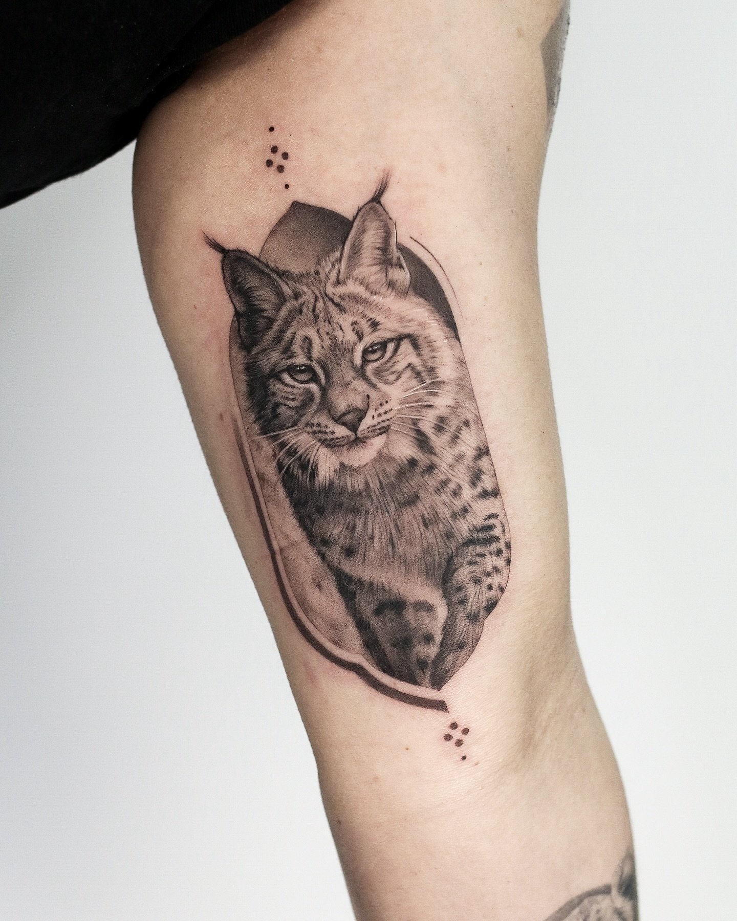 Cat Tattoo: Magic and Grace in Every Line - VeAn Tattoo
