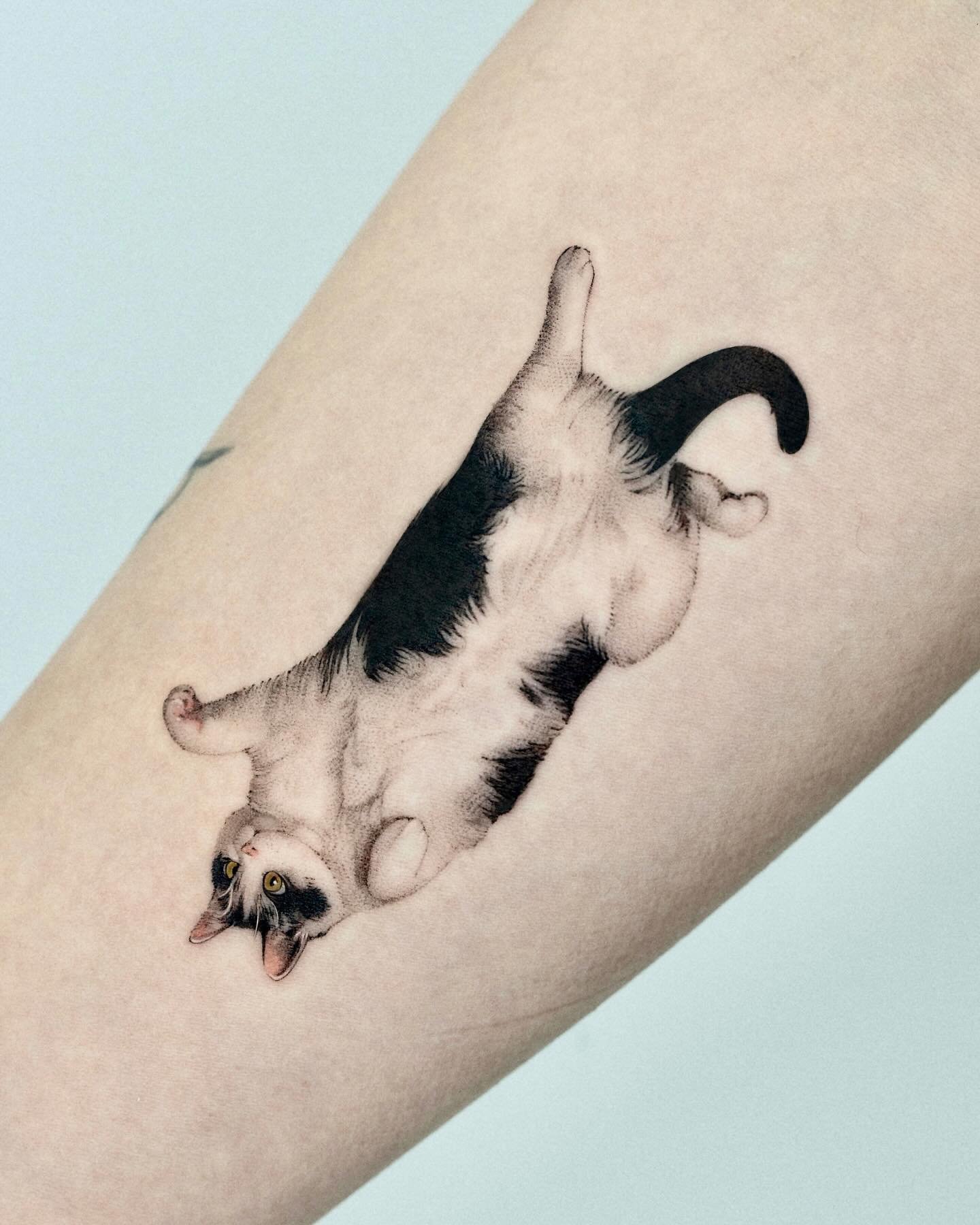 Cat Tattoo: Magic and Grace in Every Line - VeAn Tattoo