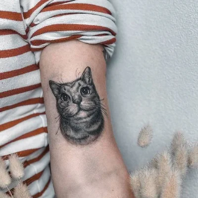Cat Tattoo: Magic and Grace in Every Line | VeAn Tattoo