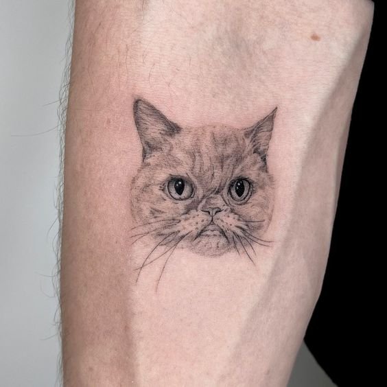 Cat Tattoo: Magic and Grace in Every Line - VeAn Tattoo