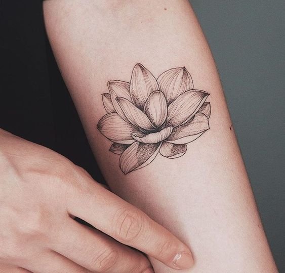 Lotus Tattoo: Meaning, Design, and Placement Ideas - VeAn Tattoo