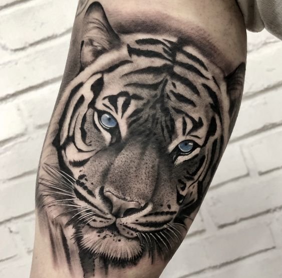 Tiger Tattoo: Embodying Strength, Protection, and Freedom. - VeAn Tattoo